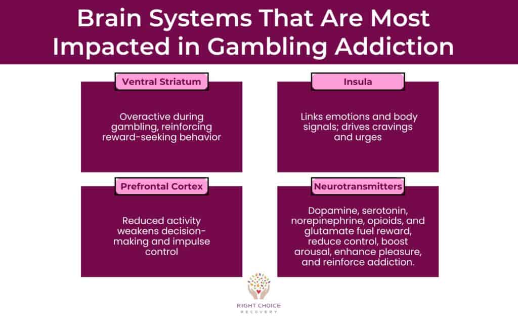 How Does Gambling Addiction Affect the Brain? - Right Choice Recovery