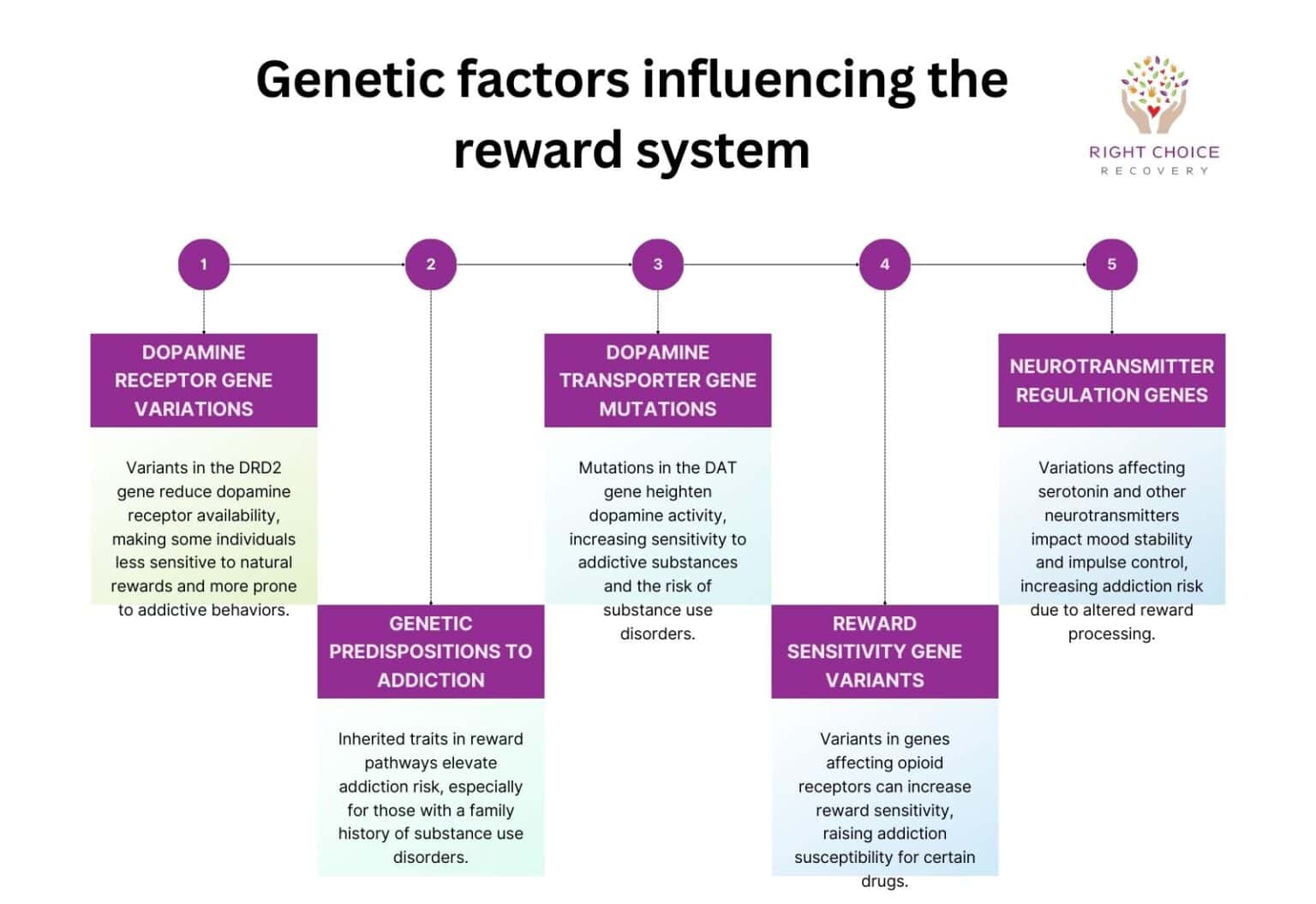 Discover the role and function of reward system in addiction