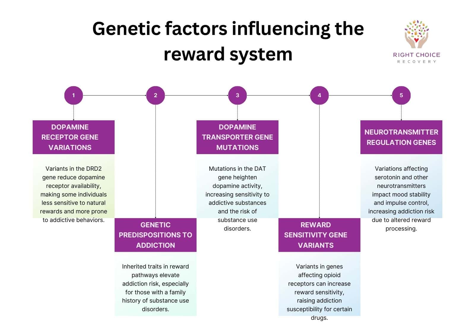 Discover the role and function of reward system in addiction